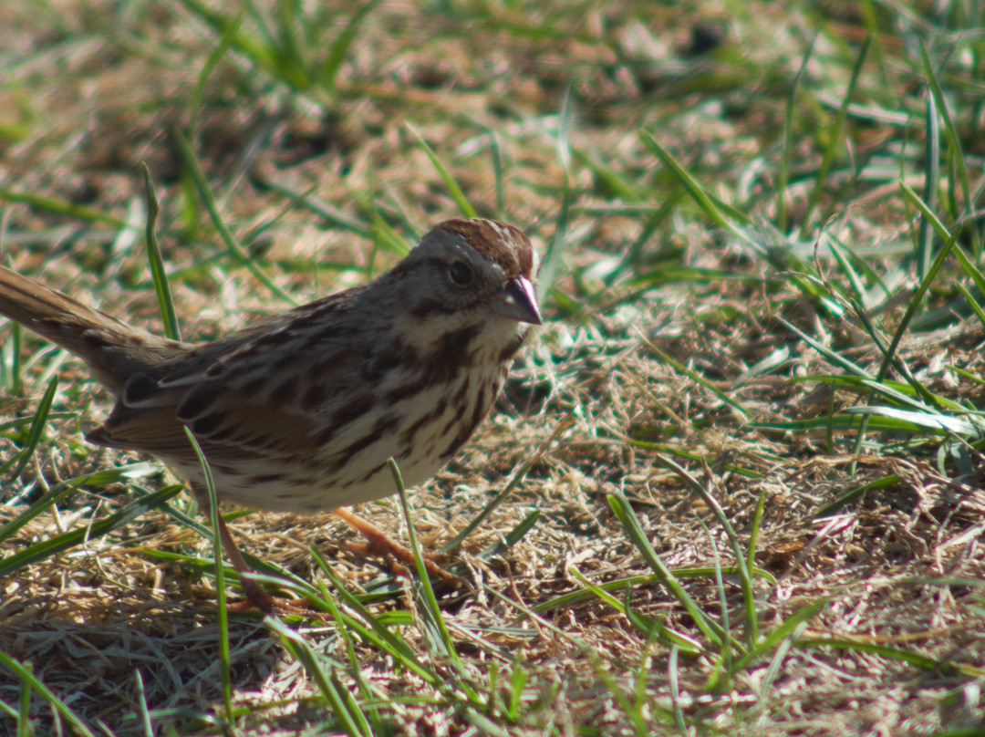 2023年11月Calamus Reservoir State Recreation Area景点攻略-Calamus Reservoir ...