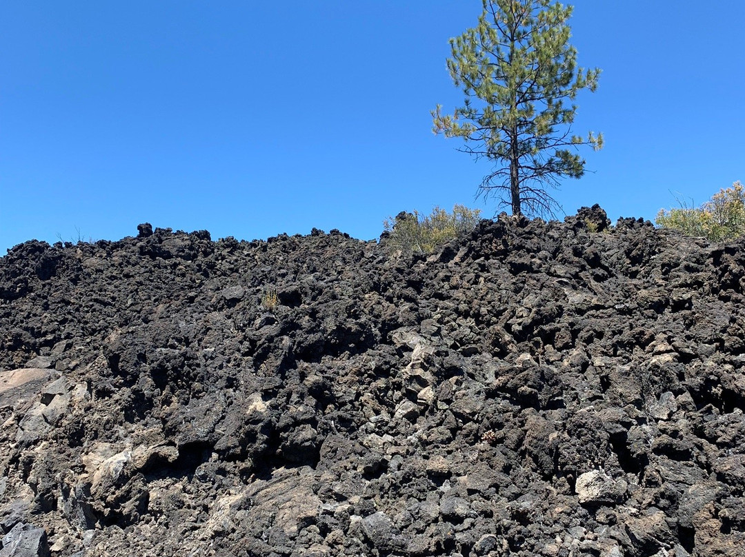 2025年3月Lava Lands Visitor Center景点攻略-Lava Lands Visitor Center门票预订|地址 ...