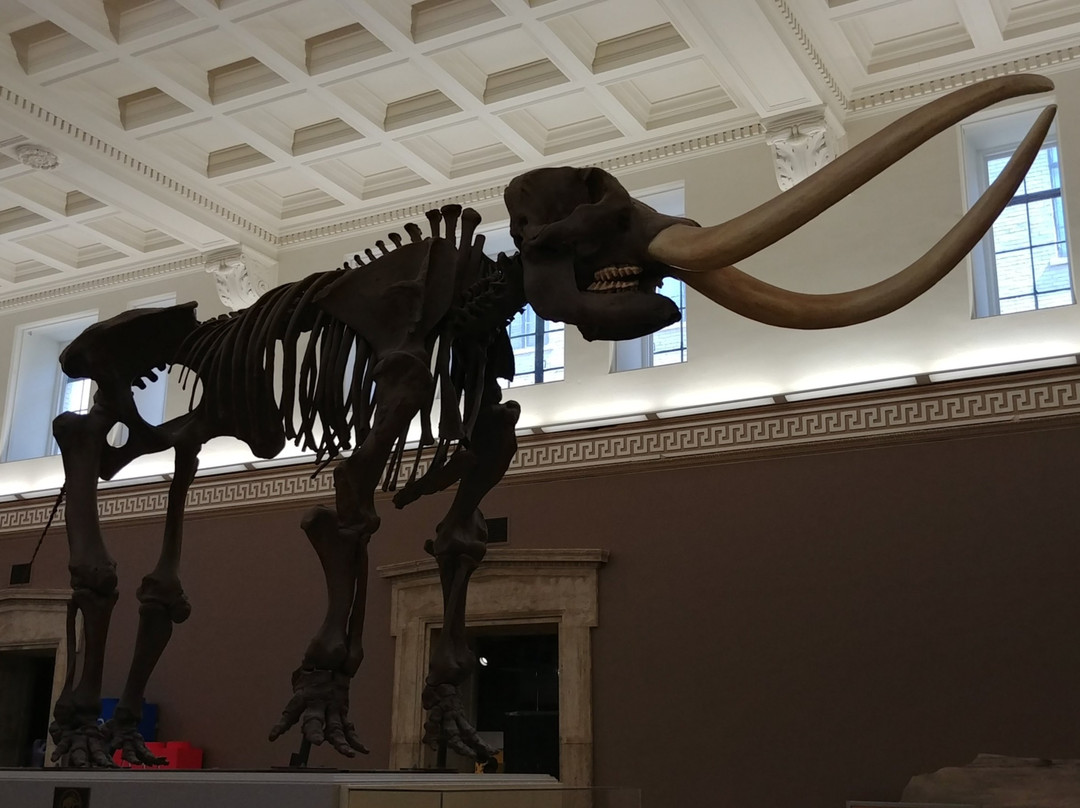 2024年11月Buffalo Museum of Science景点攻略-Buffalo Museum of Science门票预订|地址 ...