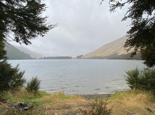 2023年12月Lake Sumner Forest Park景点攻略-Lake Sumner Forest Park门票预订|地址|图片 ...