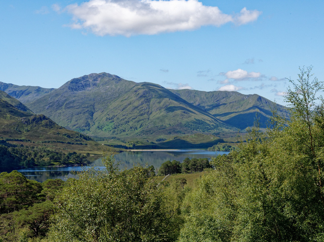 2023年11月Loch Affric Circular Walk景点攻略-Loch Affric Circular Walk门票预订|地址 ...