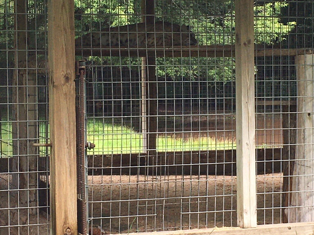 2023年11月FAWN DOE ROSA Wildlife Educational Park景点攻略-FAWN DOE ROSA ...