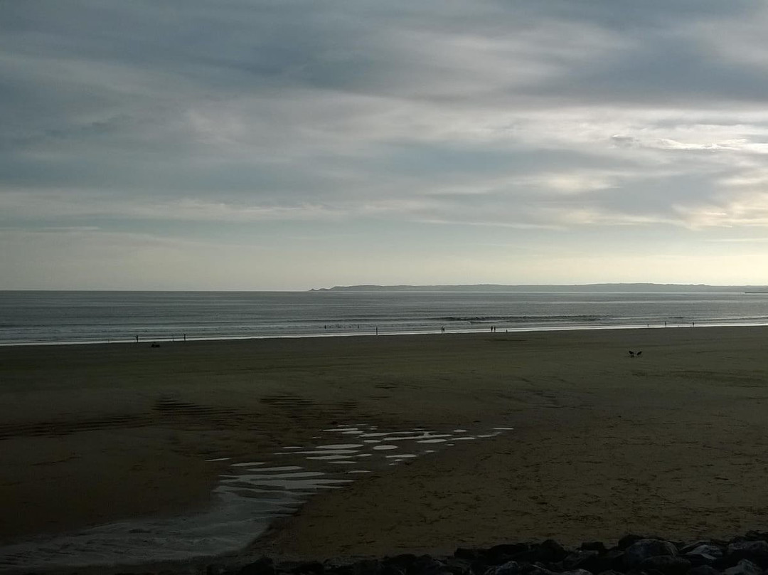 2025年1月Aberavon Beach景点攻略-Aberavon Beach门票预订|地址|图片-Aberavon Beach景点点评-猫途鹰