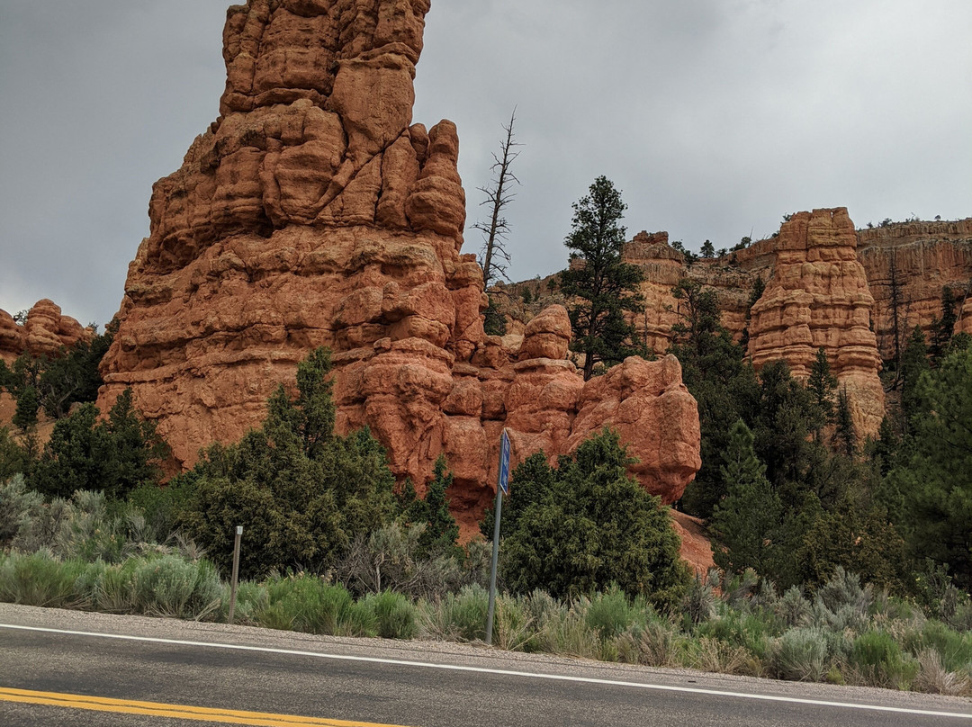 2025年2月Dixie National Forest景点攻略-Dixie National Forest门票预订|地址|图片-Dixie ...