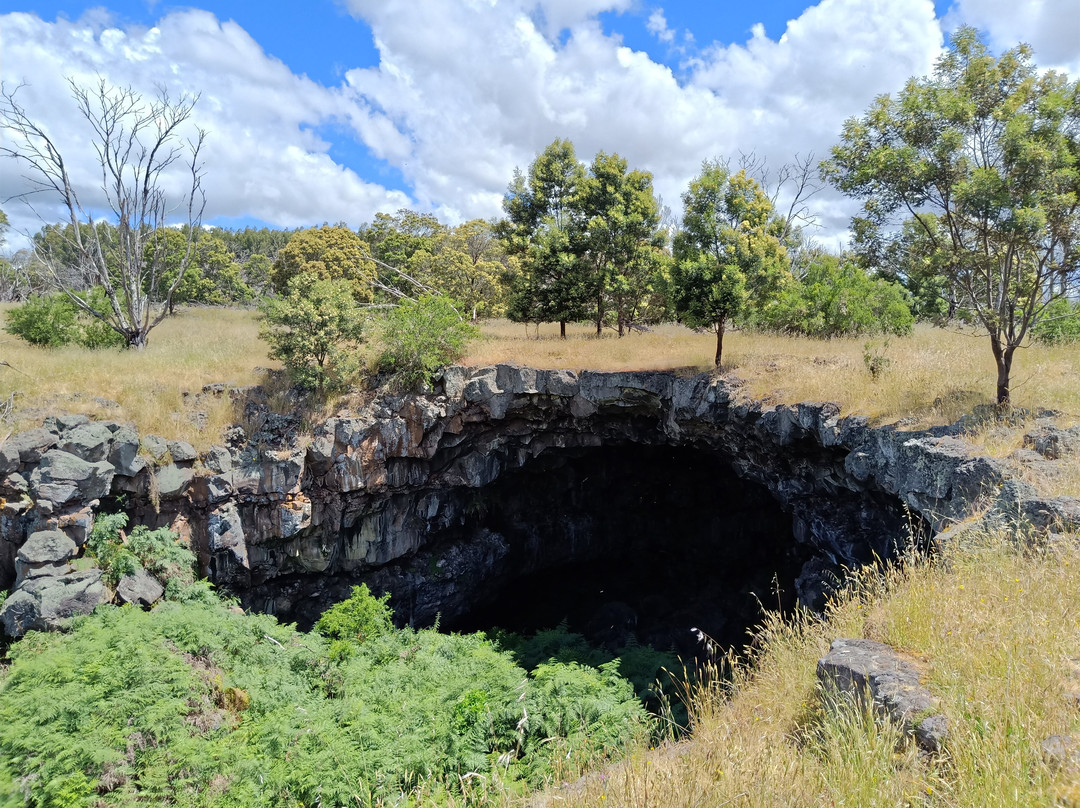 2024年3月Macarthur旅游景点攻略-Macarthur旅游住宿,-Macarthur旅游美食-猫途鹰
