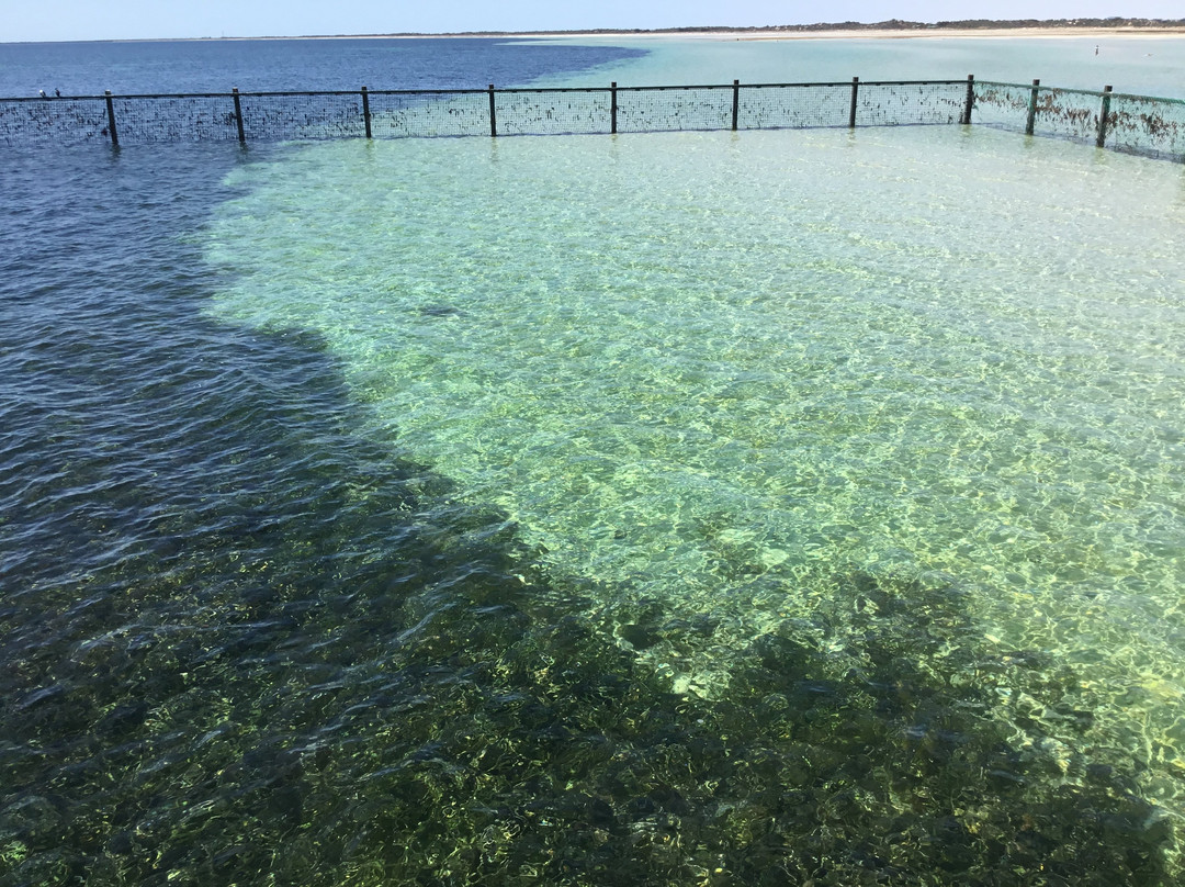 2023年12月Moonta Bay Jetty景点攻略-Moonta Bay Jetty门票预订|地址|图片-Moonta Bay ...