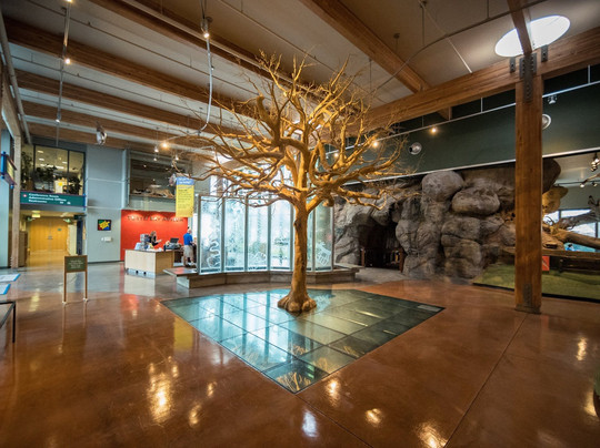 2023年11月Turtle Bay Exploration Park景点攻略-Turtle Bay Exploration Park门票预订 ...