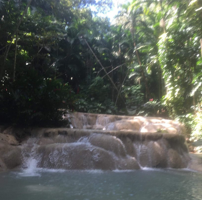 2024年2月Turtle River Falls and Gardens景点攻略-Turtle River Falls and ...