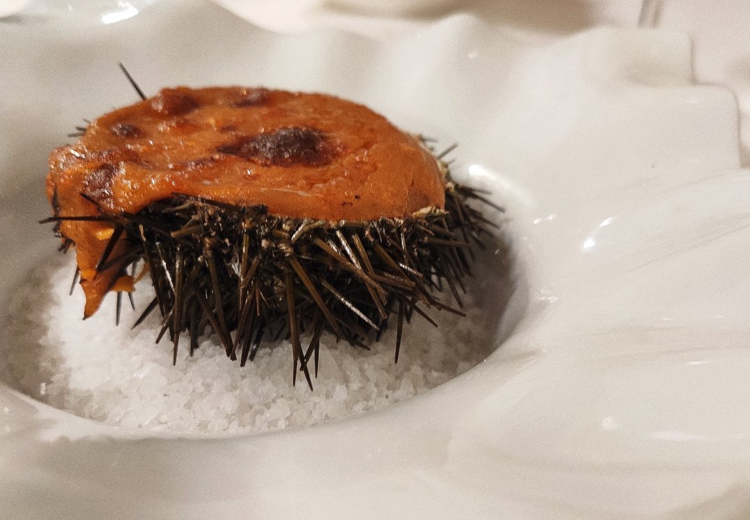 Tasca del Puerto - (El Grao)餐厅/美食点评 - 餐厅地址/餐厅电话/餐厅周边信息/餐厅推荐菜 ...