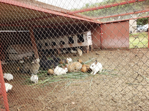 2024年12月Juranda旅游景点攻略-Juranda旅游住宿,-Juranda旅游美食-猫途鹰