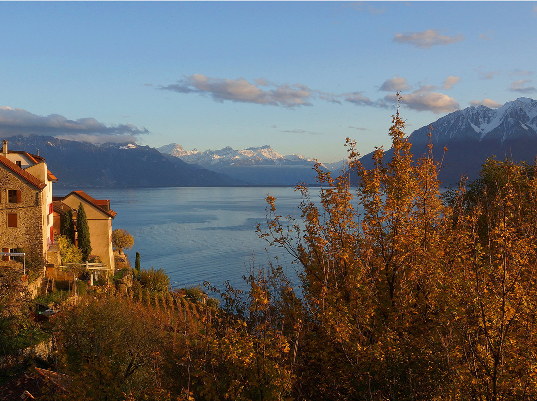 2025年4月Rivaz旅游景点攻略-Rivaz旅游住宿,-Rivaz旅游美食-猫途鹰