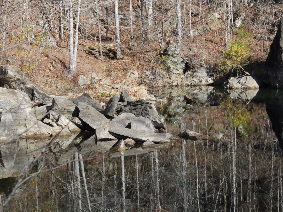 2025年5月Rydal景点攻略-Rydal旅游必去景点-Rydal景点大全-猫途鹰