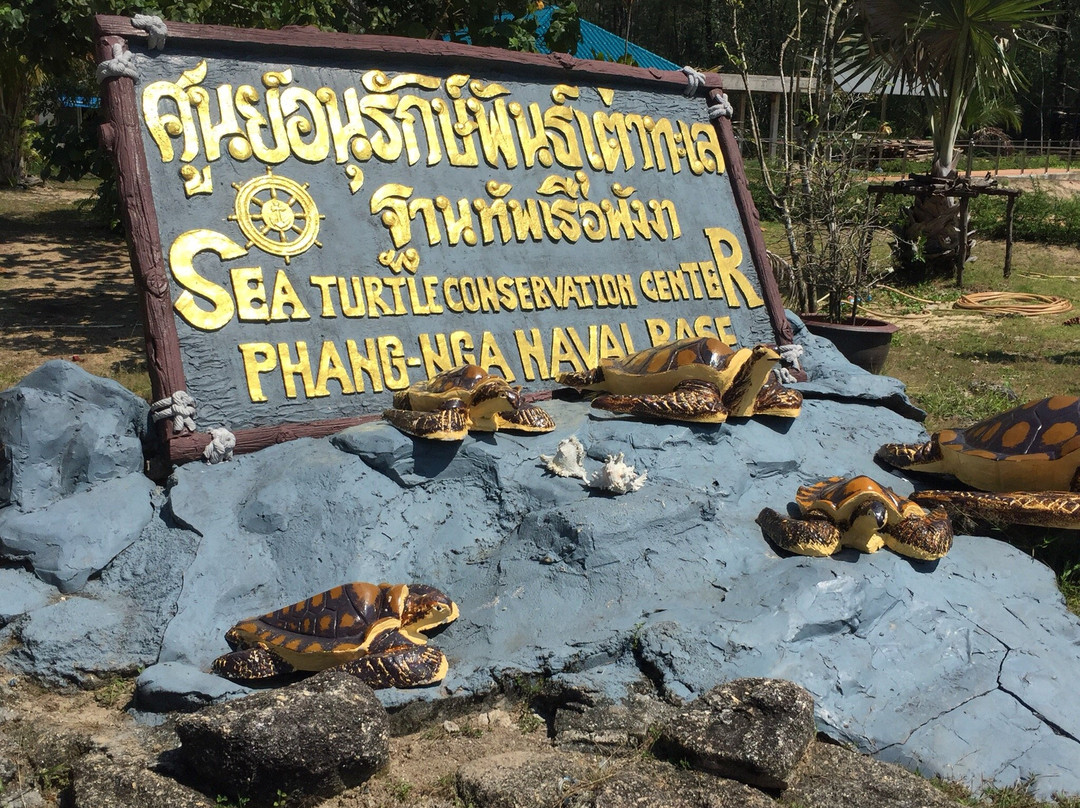 2023年11月Sea Turtle Conservation Centre景点攻略-Sea Turtle Conservation ...
