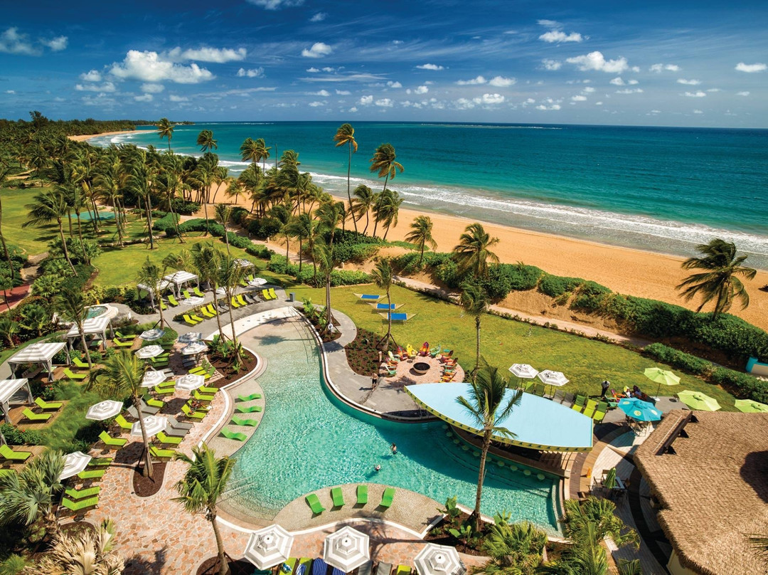 2023年10月Rio Grande旅游景点攻略-Rio Grande旅游住宿,-Rio Grande旅游美食-猫途鹰