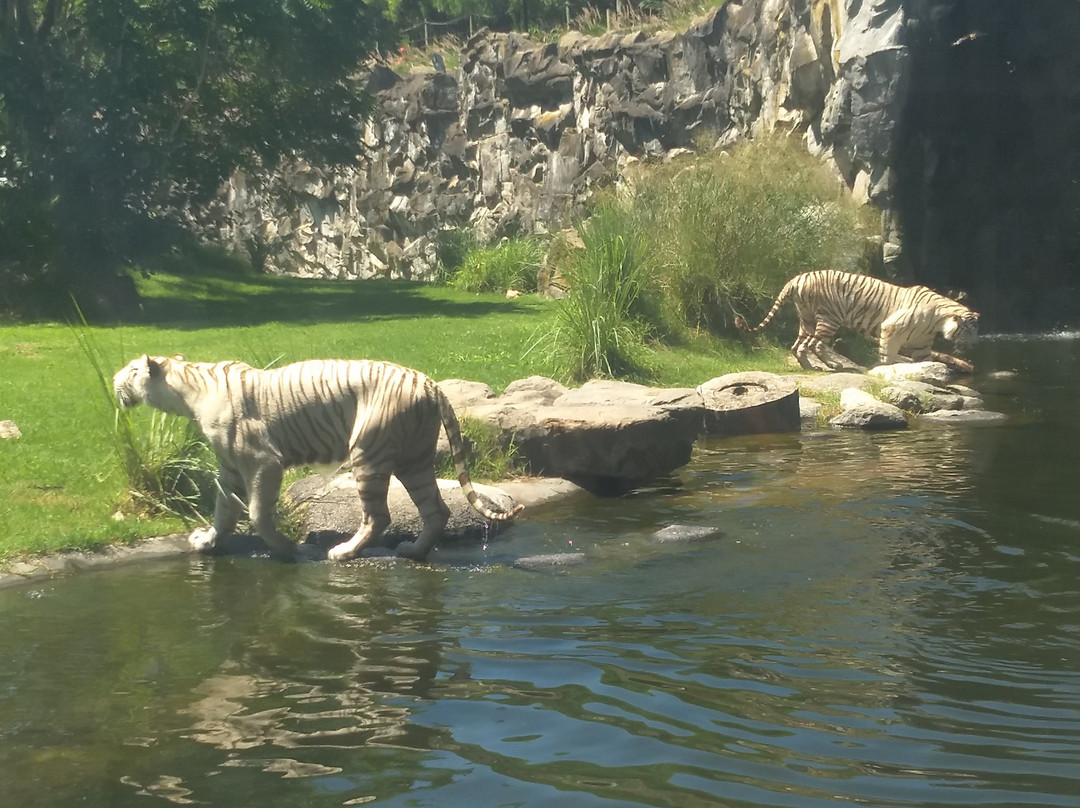 2024年10月Temaiken Biopark景点攻略-Temaiken Biopark门票预订|地址|图片-Temaiken ...