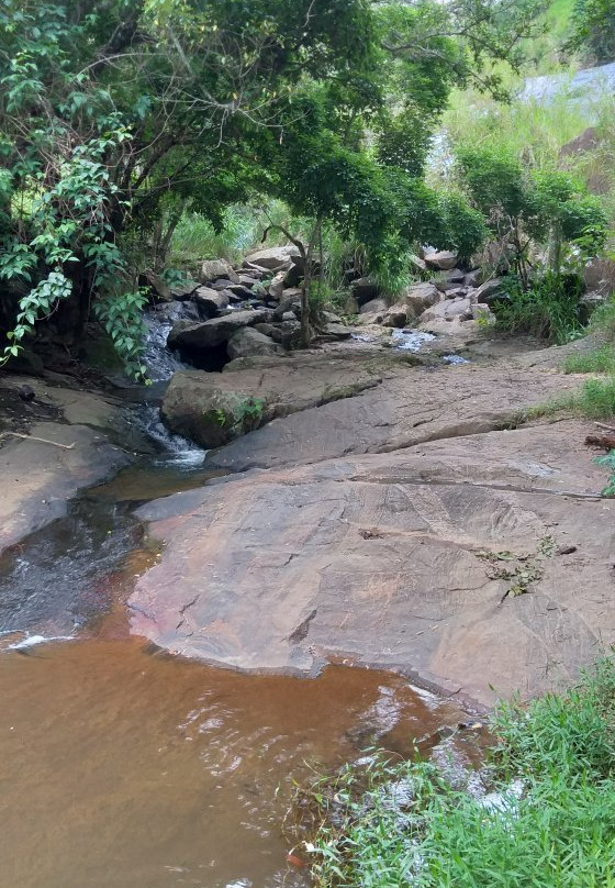 2024年3月Joanopolis旅游景点攻略-Joanopolis旅游住宿,-Joanopolis旅游美食-猫途鹰