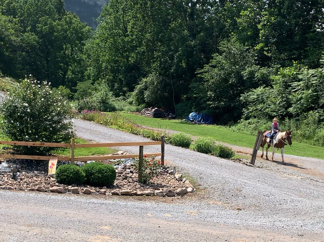 2023年12月Yokum's Seneca Rocks Stables景点攻略-Yokum's Seneca Rocks Stables门票 ...
