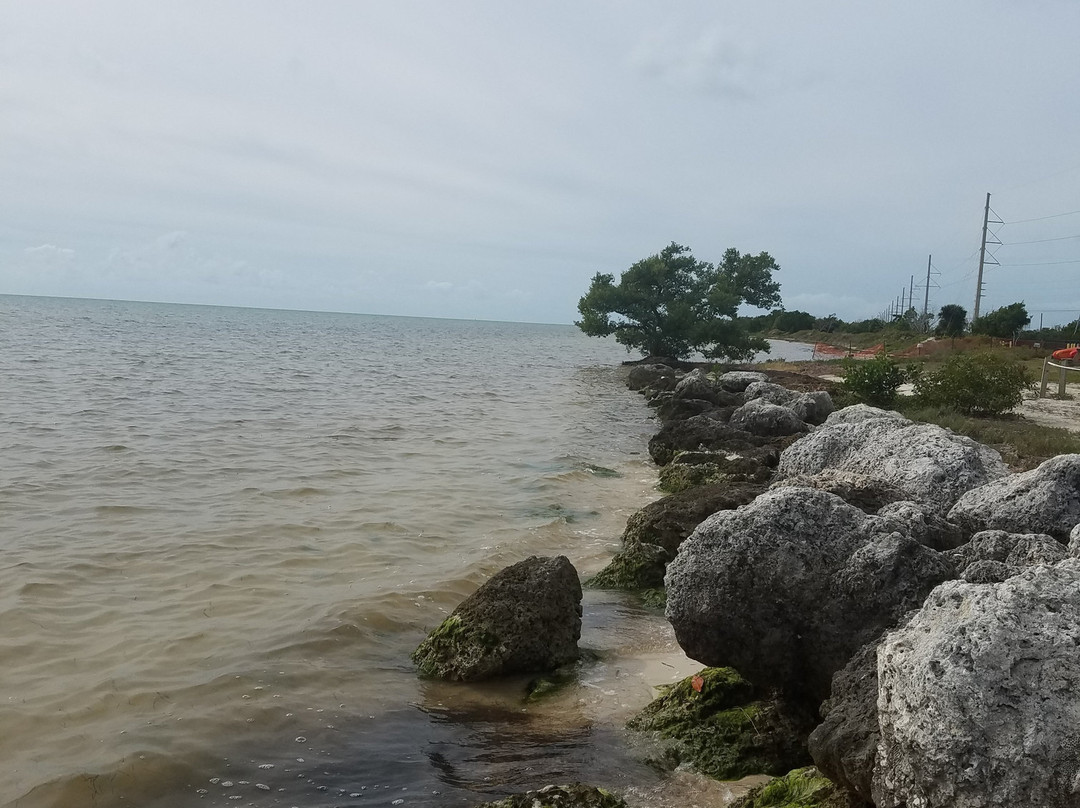 2024年4月Long Key State Park景点攻略-Long Key State Park门票预订|地址|图片-Long Key ...