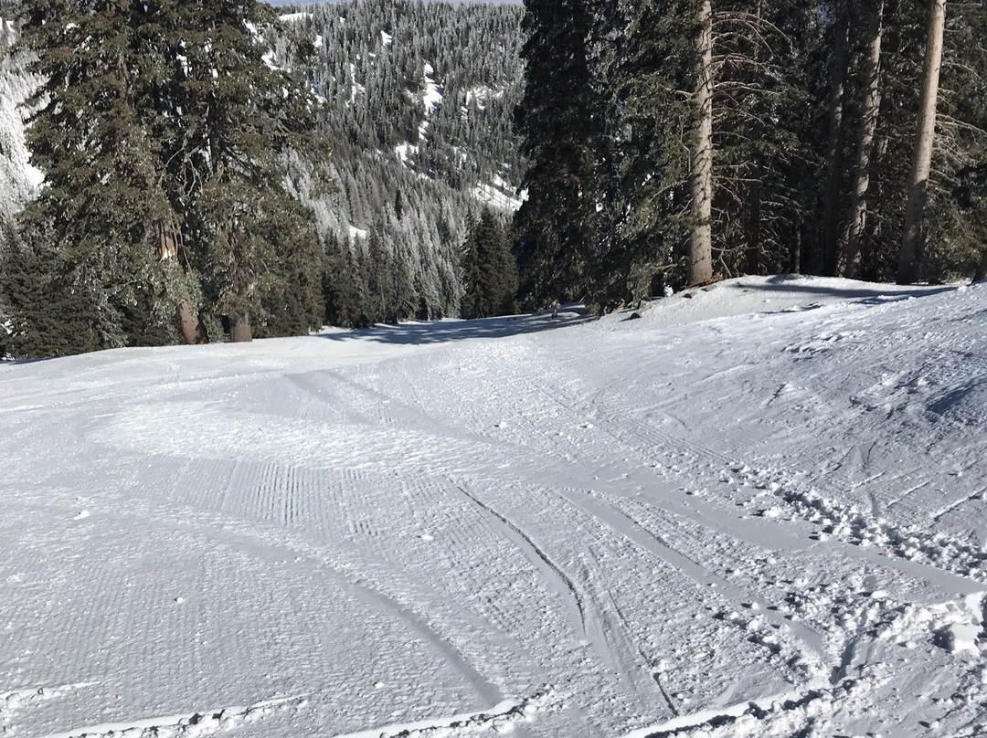 2024年1月Ski Apache景点攻略-Ski Apache门票预订|地址|图片-Ski Apache景点点评-猫途鹰