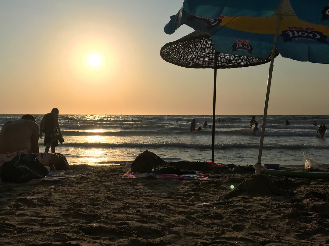 2023年11月Ladies Beach景点攻略-Ladies Beach门票预订|地址|图片-Ladies Beach景点点评-猫途鹰