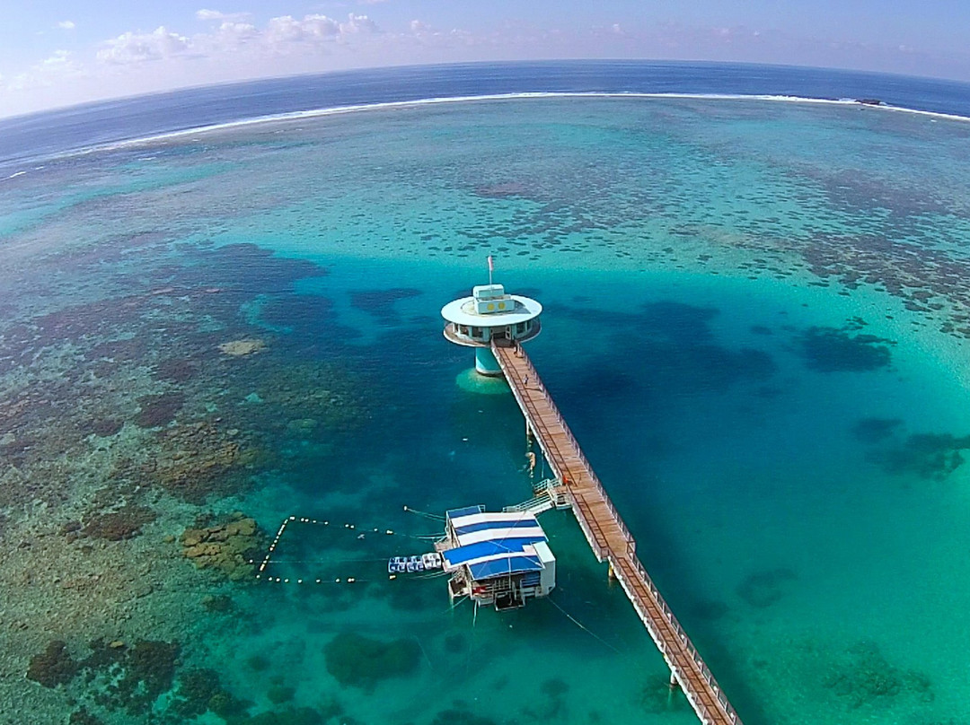 2024年7月Fish Eye Underwater Observatory景点攻略-Fish Eye Underwater ...