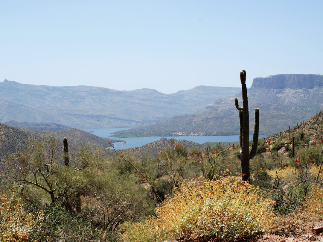 2024年3月Apache Lake景点攻略-Apache Lake门票预订|地址|图片-Apache Lake景点点评-猫途鹰