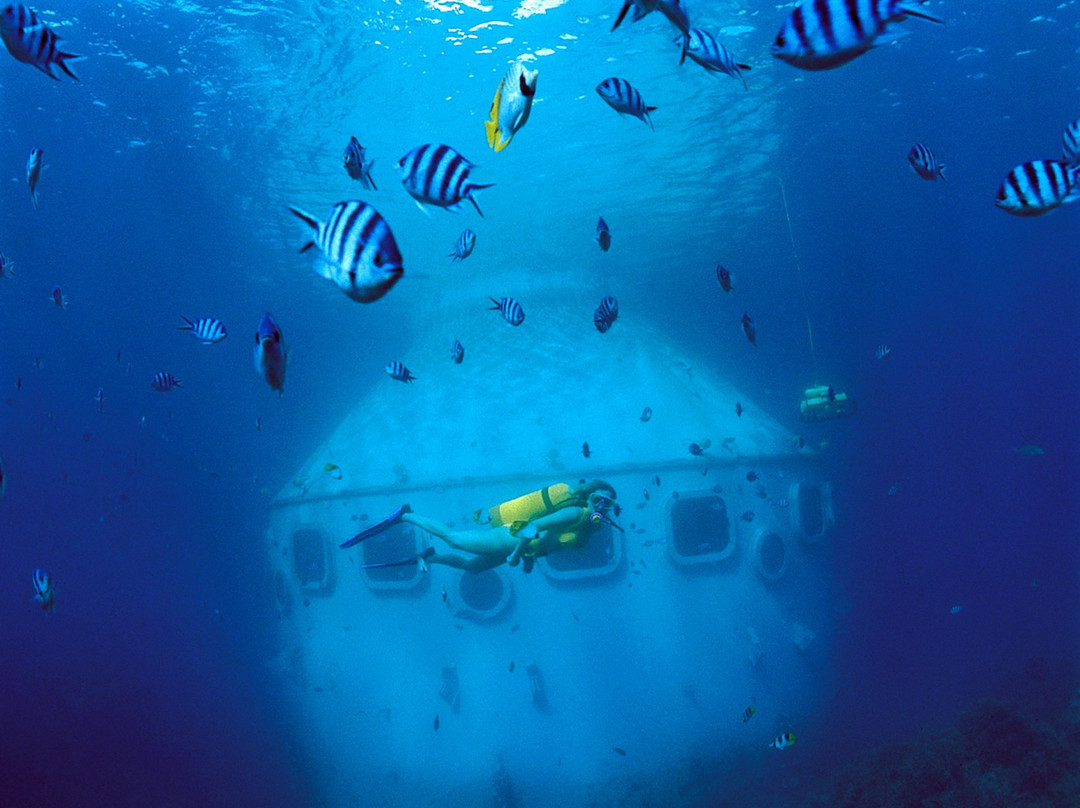 2024年7月Fish Eye Underwater Observatory景点攻略-Fish Eye Underwater ...