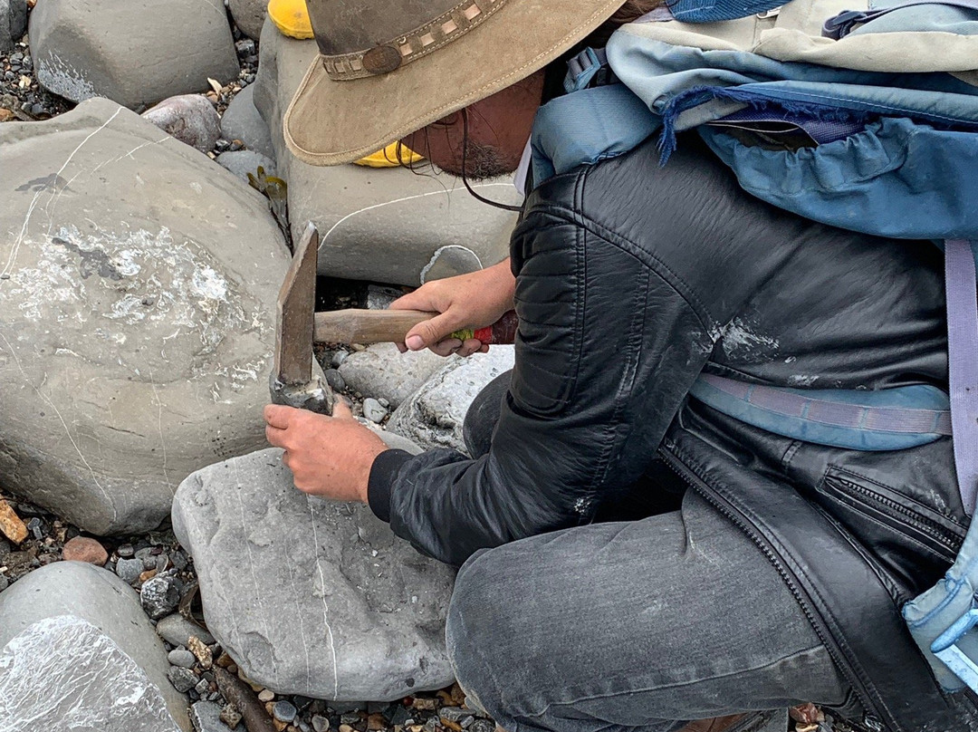 2025年1月Lyme Regis Philpot Museum景点攻略-Lyme Regis Philpot Museum门票预订|地址 ...