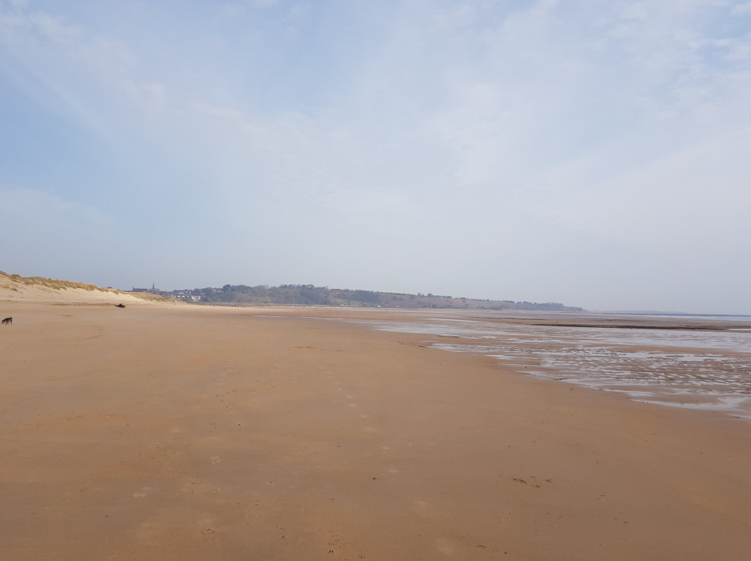 2023年11月Alnmouth Beach景点攻略-Alnmouth Beach门票预订|地址|图片-Alnmouth Beach景点点评-猫途鹰