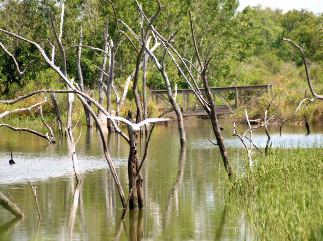 2025年1月Baytown Nature Center景点攻略-Baytown Nature Center门票预订|地址|图片-Baytown Nature Center景点点评-猫途鹰