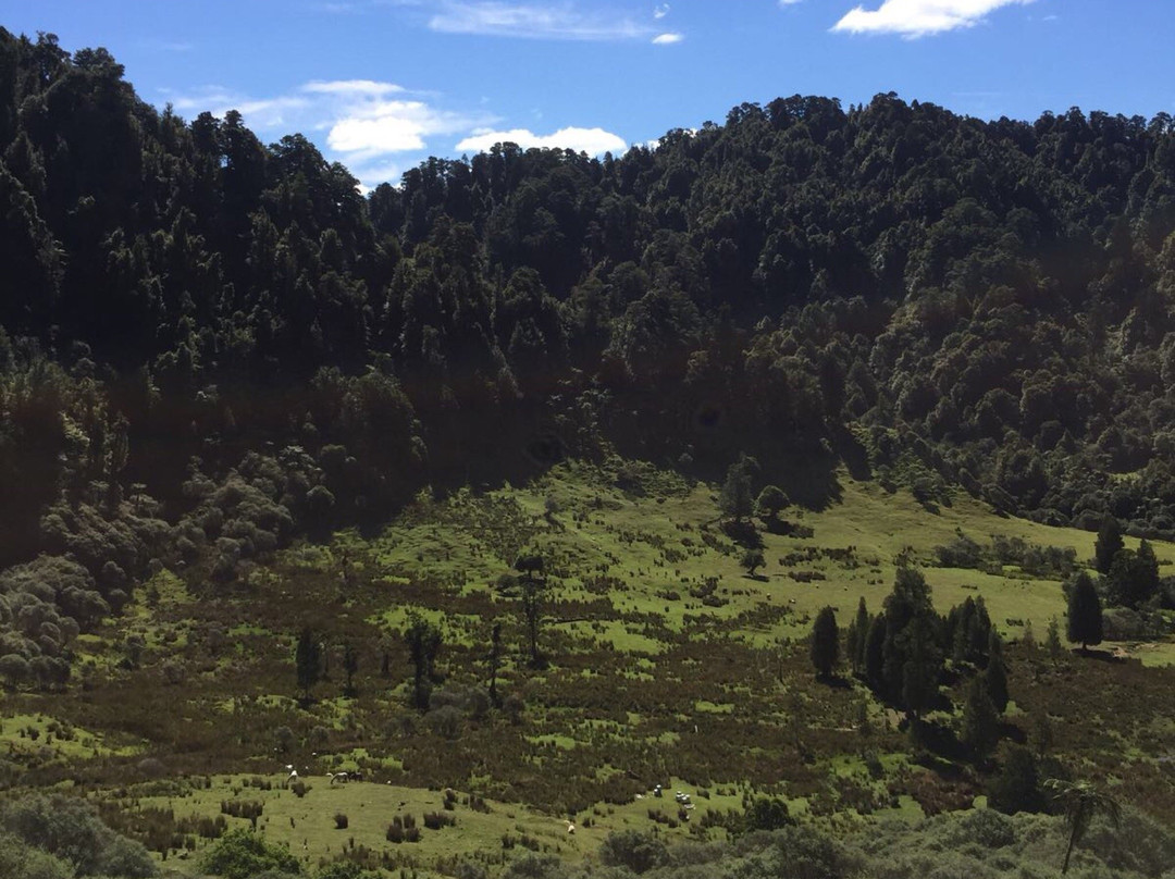 2025年1月Tangarakau旅游景点攻略-Tangarakau旅游住宿,-Tangarakau旅游美食-猫途鹰