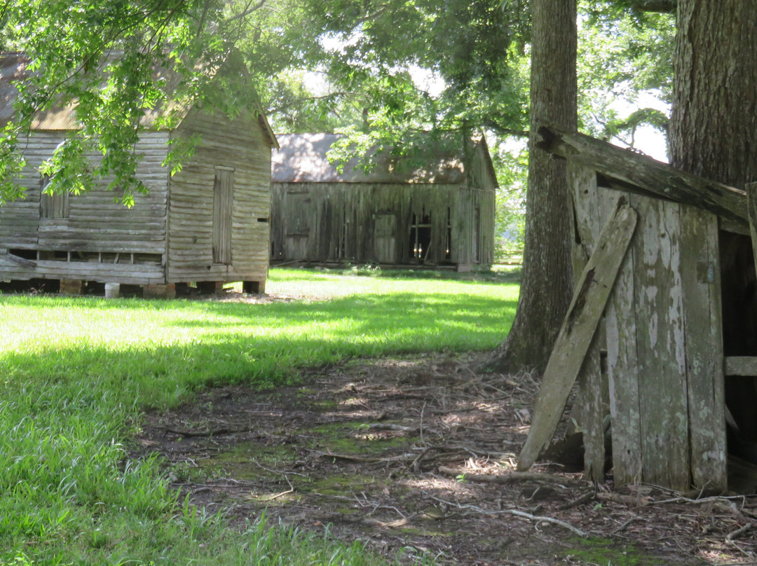 2023年12月Laurel Valley Village景点攻略-Laurel Valley Village门票预订|地址|图片 ...