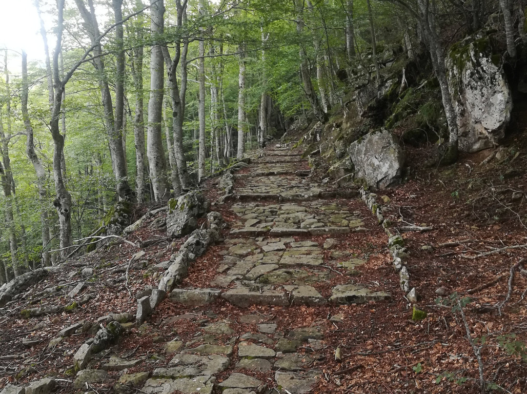 2024年11月Santuario della Madonna del Monte Sacro di Novi Velia景点攻略 ...