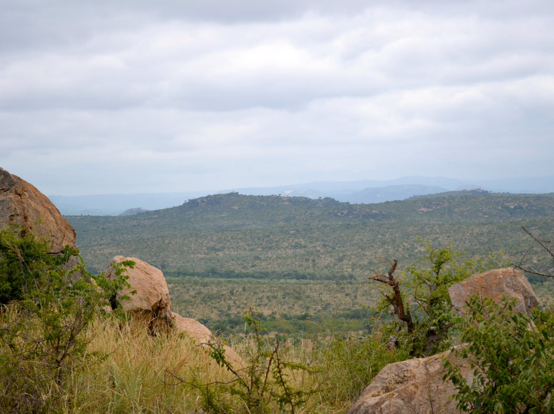 2025年3月Wolhuter Wilderness Trail景点攻略-Wolhuter Wilderness Trail门票预订|地址 ...