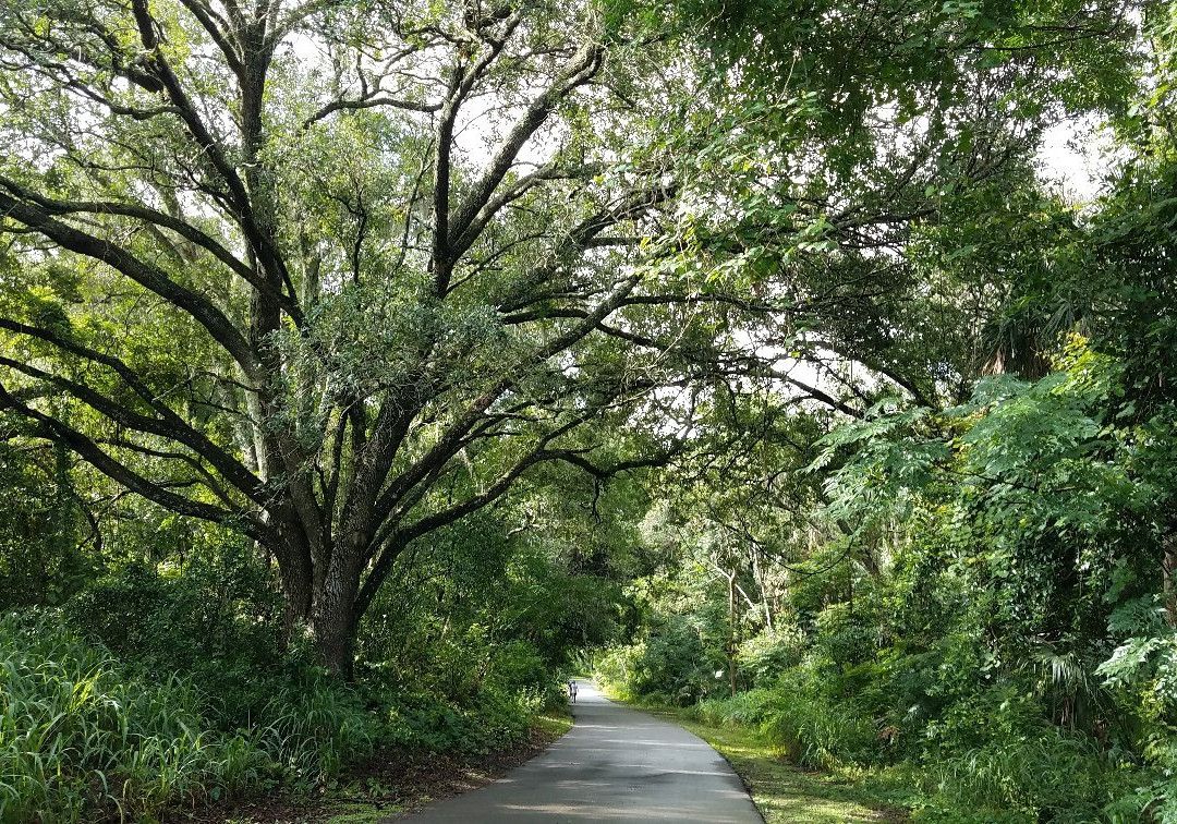 2024年4月Wekiva Springs景点攻略-Wekiva Springs旅游必去景点-Wekiva Springs景点大全-猫途鹰