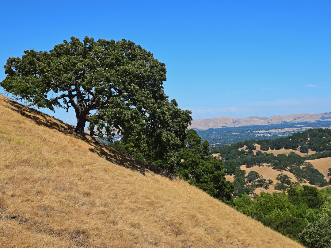 2024年6月Briones Park景点攻略-Briones Park门票预订|地址|图片-Briones Park景点点评-猫途鹰