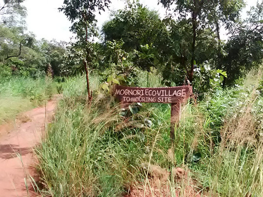 2025年3月Mole National Park景点攻略-Mole National Park门票预订|地址|图片-Mole ...