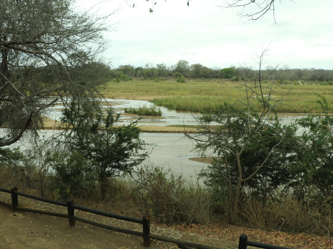 2023年12月Nkuhlu Picnic Site景点攻略-Nkuhlu Picnic Site门票预订|地址|图片-Nkuhlu ...