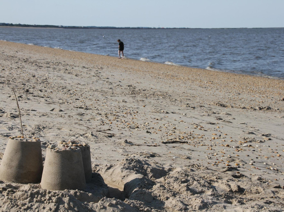 2025年5月Slaughter Beach景点攻略-Slaughter Beach旅游必去景点-Slaughter Beach景点大全-猫途鹰