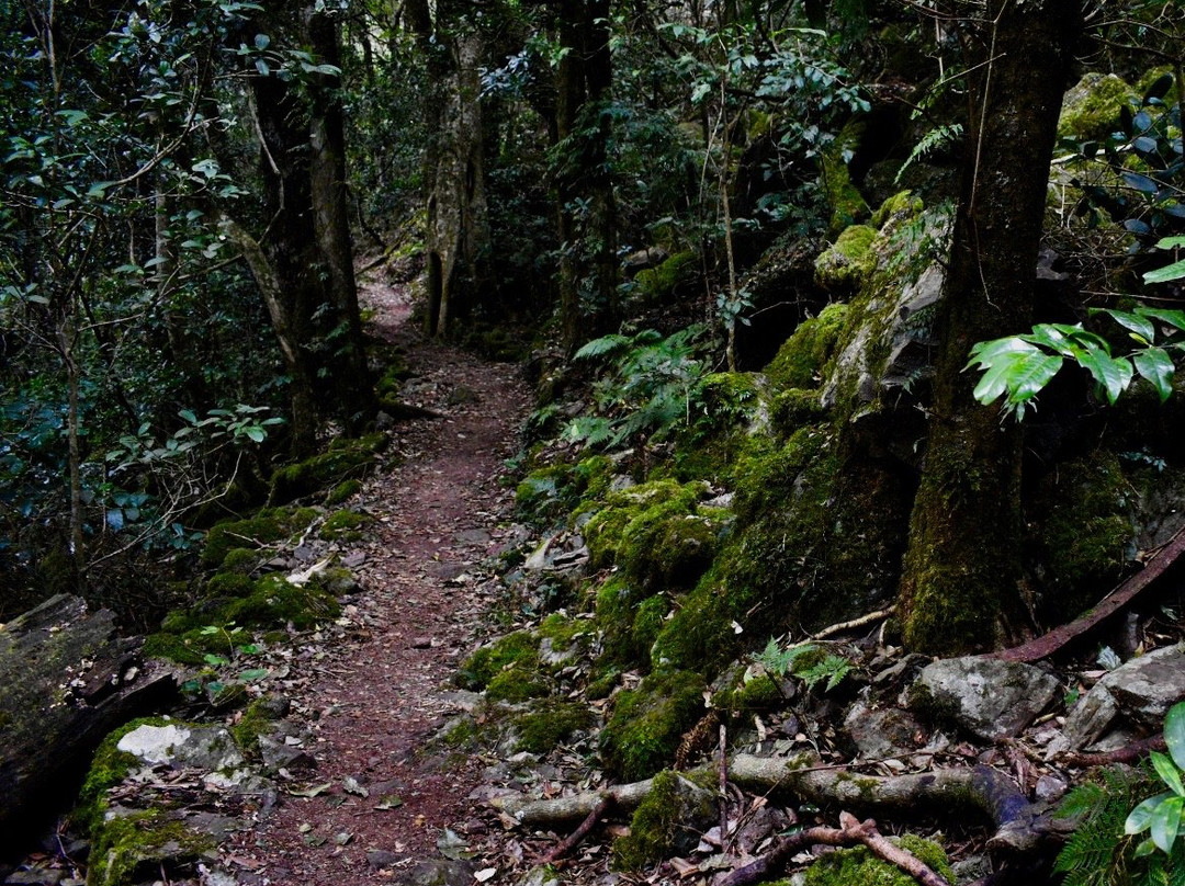 2023年12月Main Range National Park景点攻略-Main Range National Park门票预订|地址|图片 ...