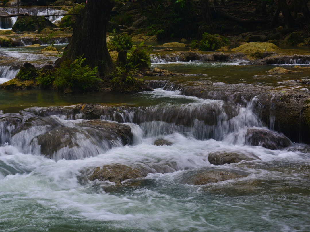2023年11月Cascada de Micos景点攻略-Cascada de Micos门票预订|地址|图片-Cascada de ... 2023年11月Cascada de Micos景点攻略-Cascada de Micos门票预订|地址|图片-Cascada de ...