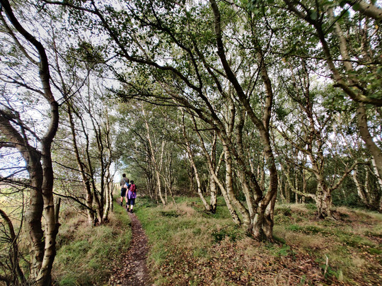 2024年9月Eston Nab景点攻略-Eston Nab门票预订|地址|图片-Eston Nab景点点评-猫途鹰