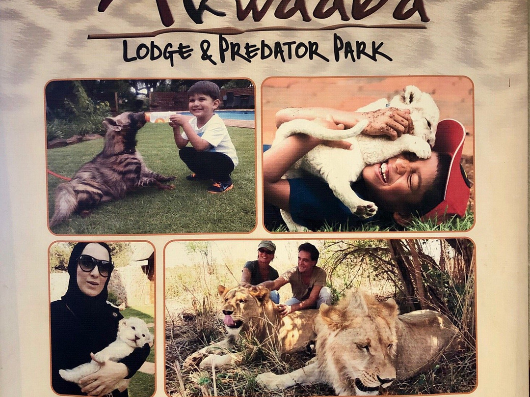 2023年11月Akwaaba Predator Park景点攻略-Akwaaba Predator Park门票预订|地址|图片 ...