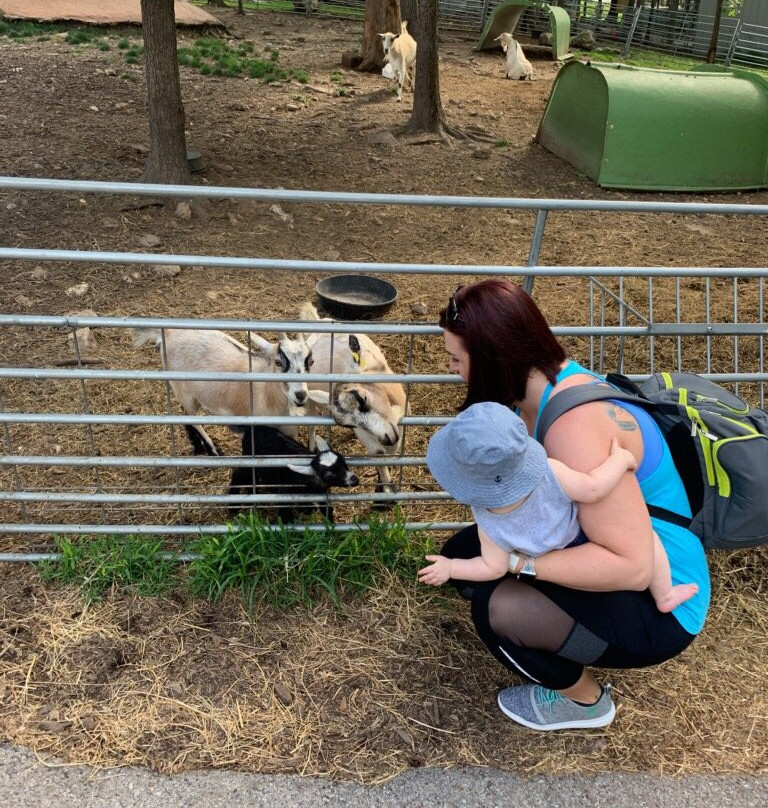 2024年3月Branson's Promised Land Zoo景点攻略-Branson's Promised Land Zoo门票预订|地址|图片-Branson's Promised ...