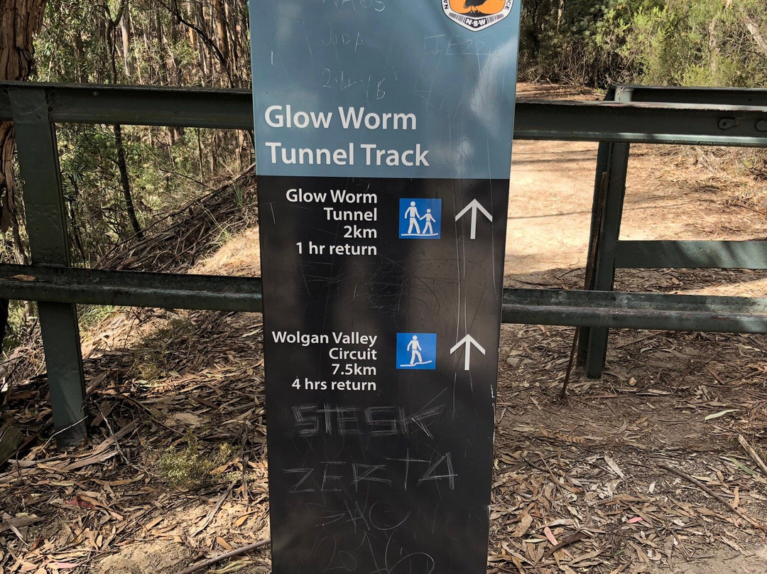 2023年12月Glow Worm Tunnel景点攻略-Glow Worm Tunnel门票预订|地址|图片-Glow Worm ...