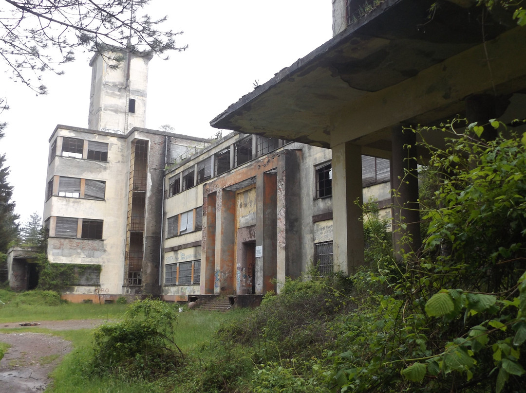 2023年10月Rovegno景点攻略-Rovegno旅游必去景点-Rovegno景点大全-猫途鹰