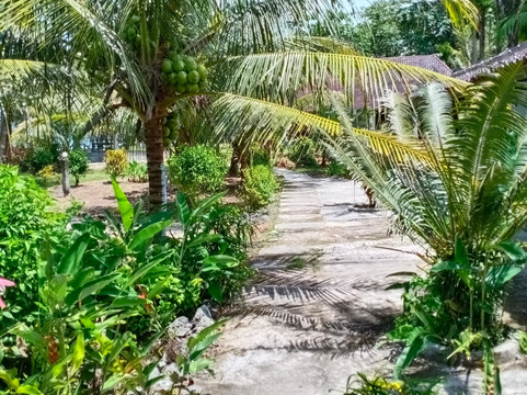 2024年12月Tanjung Setia旅游景点攻略-Tanjung Setia旅游住宿,-Tanjung Setia旅游美食-猫途鹰