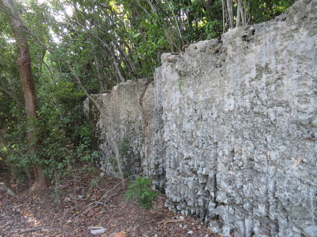 2023年11月Windley Key Fossil Reef Geological State Park景点攻略-Windley Key ...
