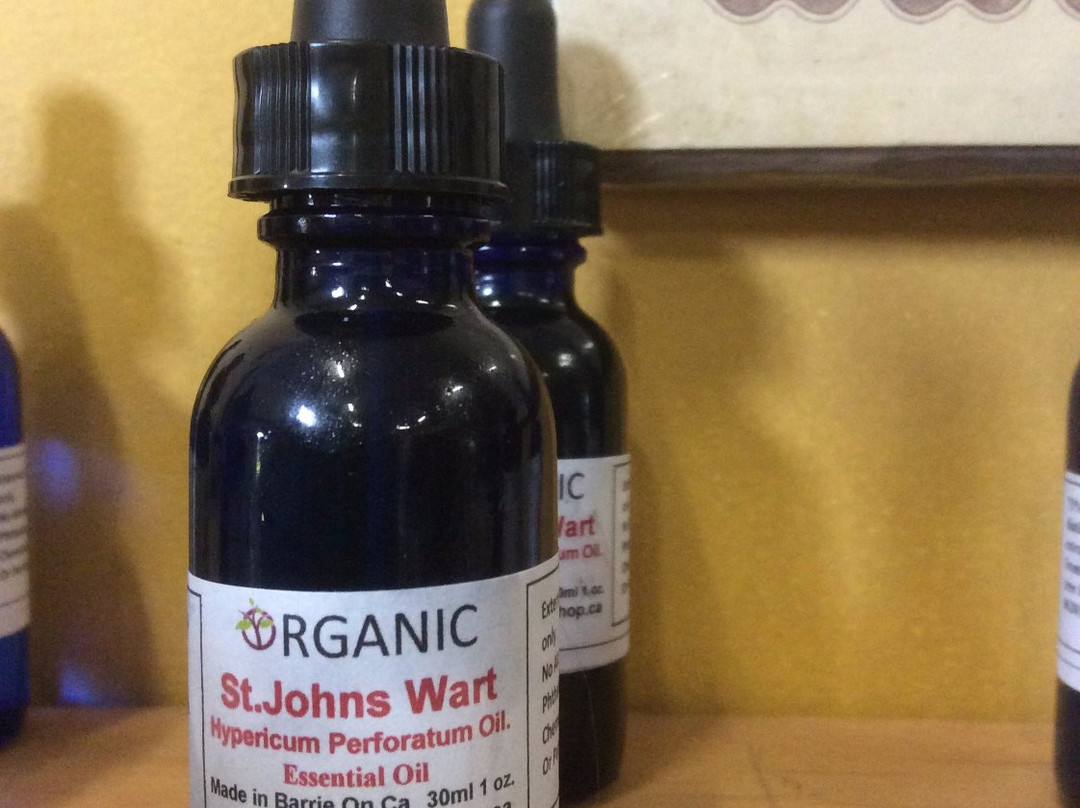 2023年10月Shanty Bay旅游景点攻略-Shanty Bay旅游住宿,-Shanty Bay旅游美食-猫途鹰