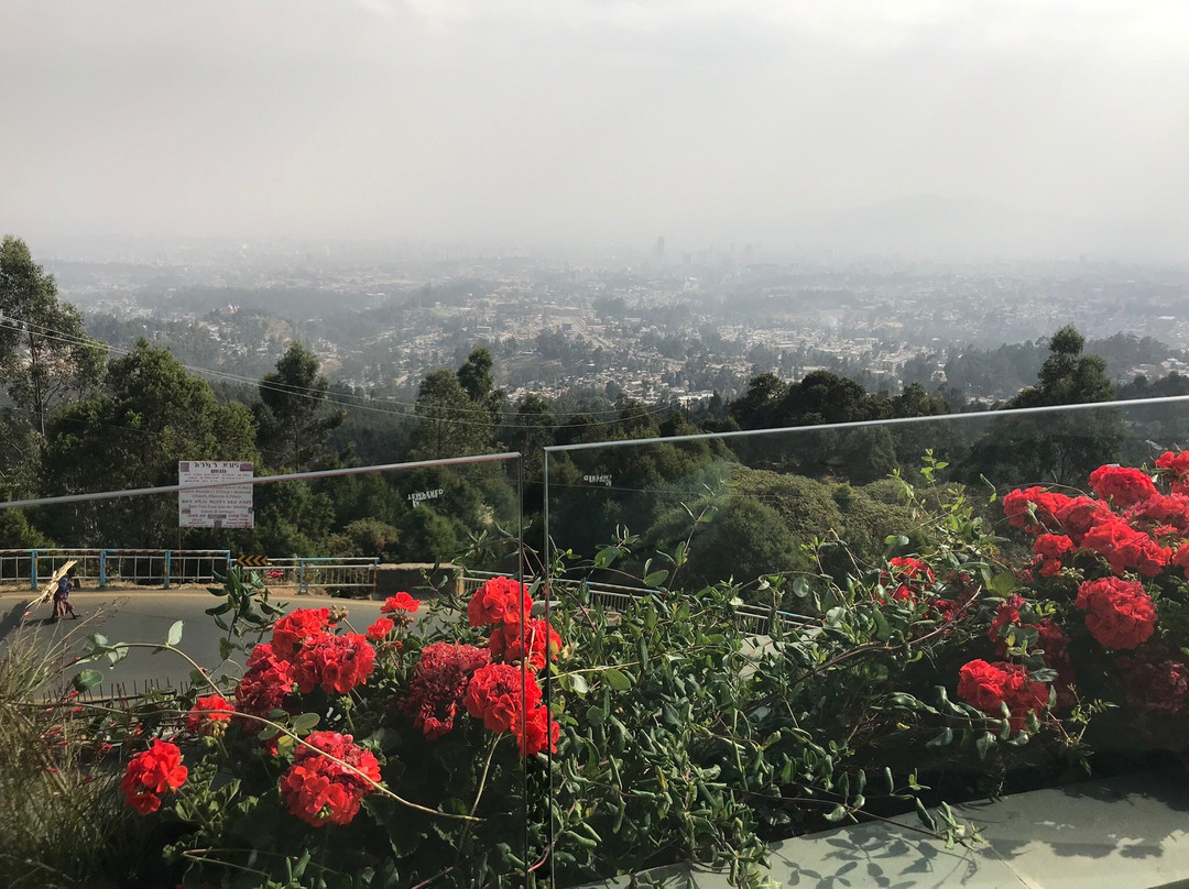 2024年4月Entoto Natural Park景点攻略-Entoto Natural Park门票预订|地址|图片-Entoto ...